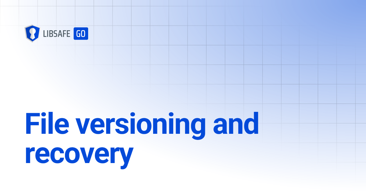 File versioning and recovery | LIBSAFE Go!